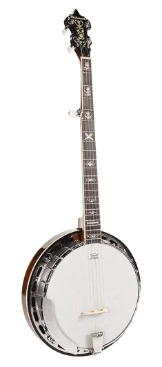 Richwood Banjo`s